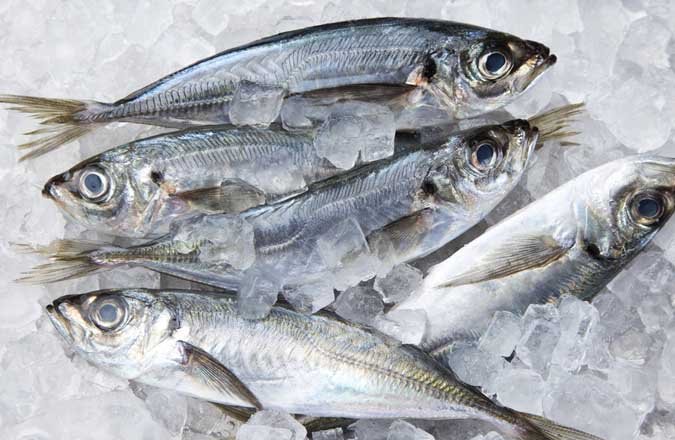 ¡Aguas! Esto es lo que contiene el pescado chino congelado; Profeco ...
